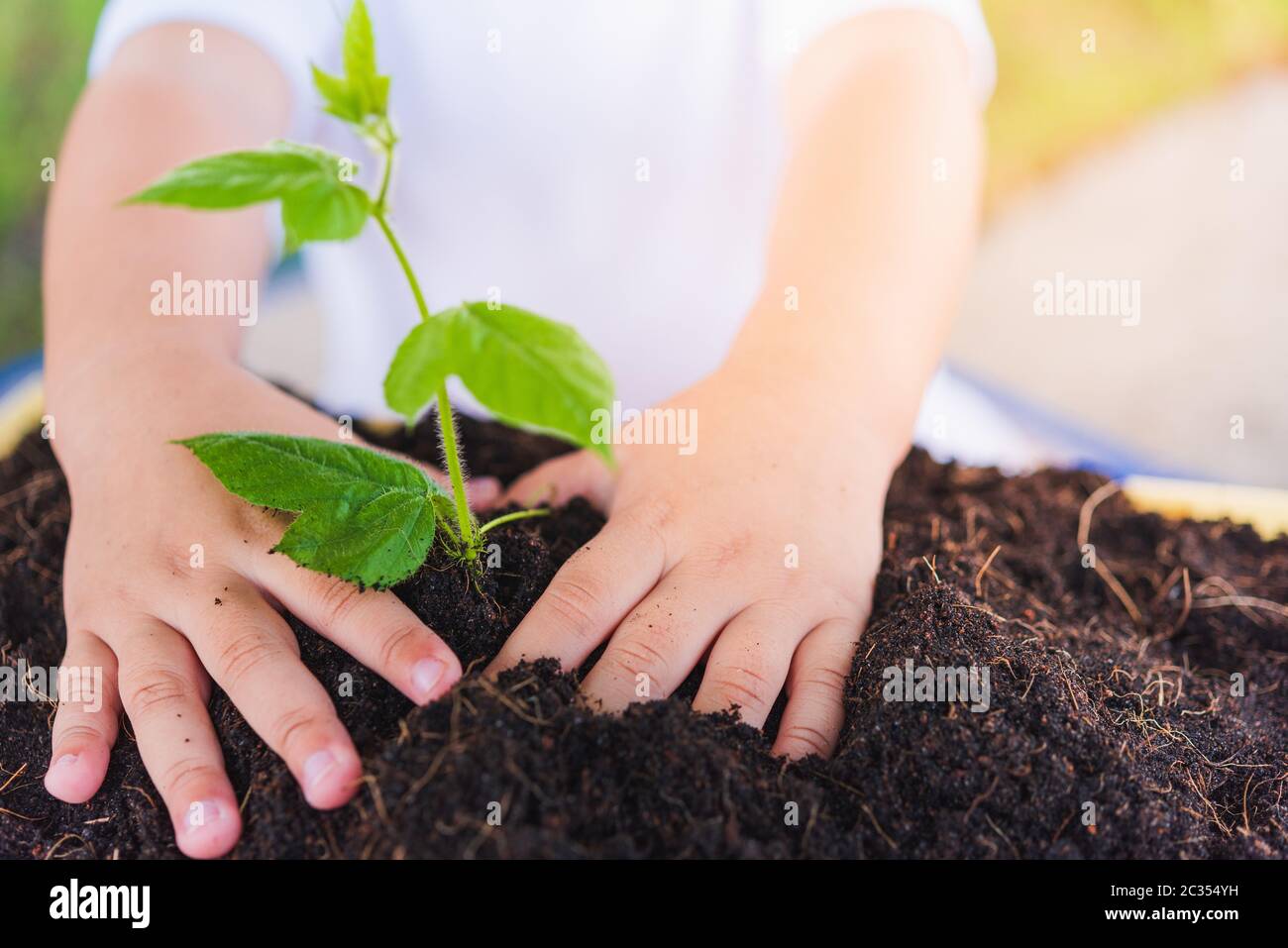Black People Planting Trees