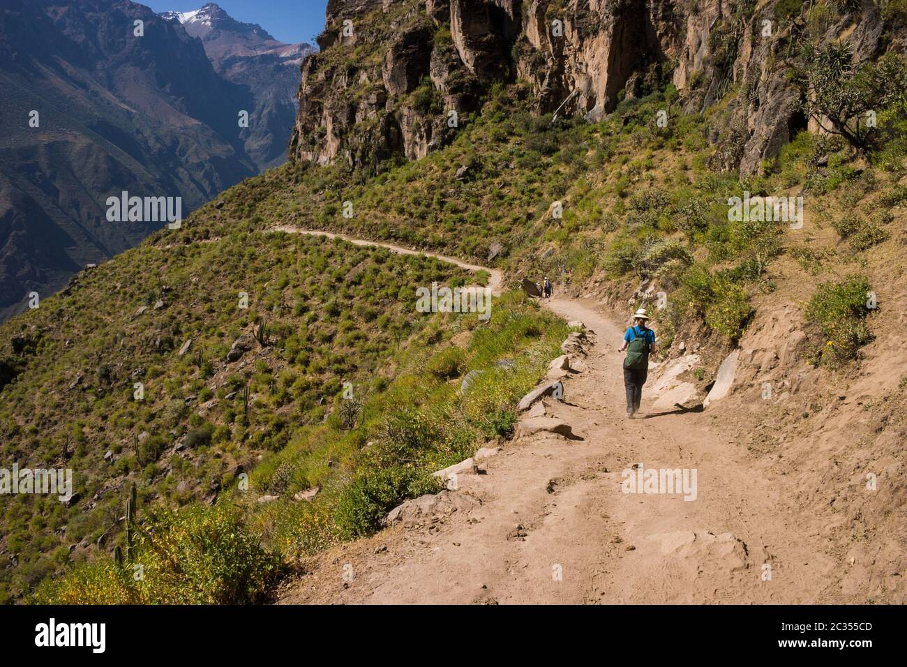 Trekking in the colca canyon Stock Photo - Alamy