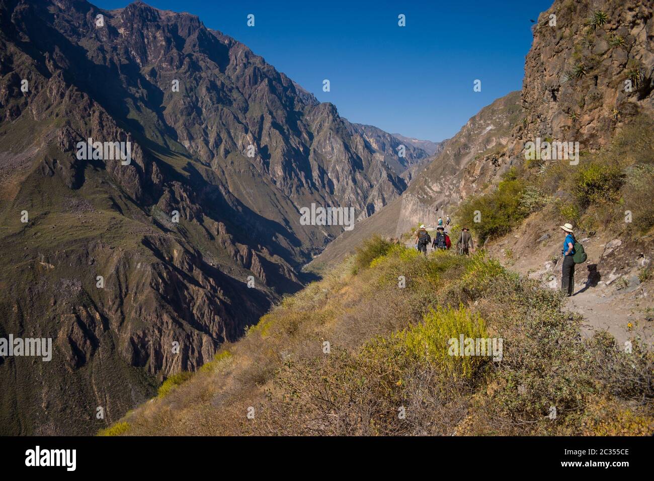 Trekking in the colca canyon Stock Photo - Alamy
