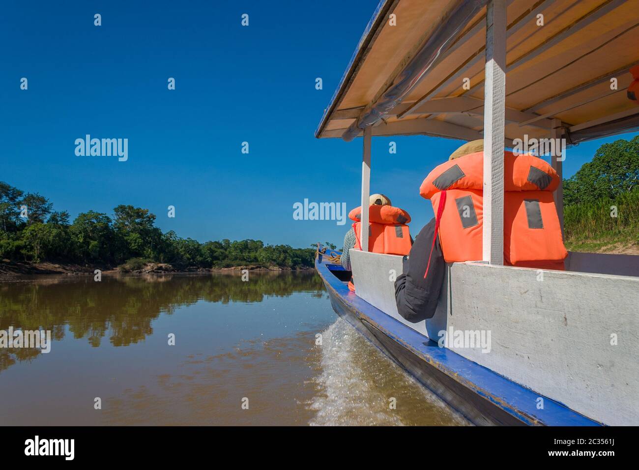 Exploring The Amazon Rainforest High Resolution Stock Photography and ...