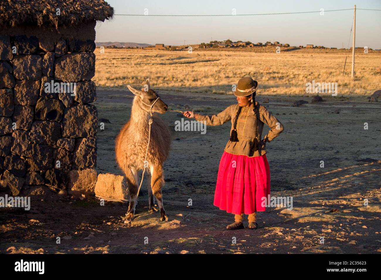 White llama with lady hi-res stock photography and images - Alamy