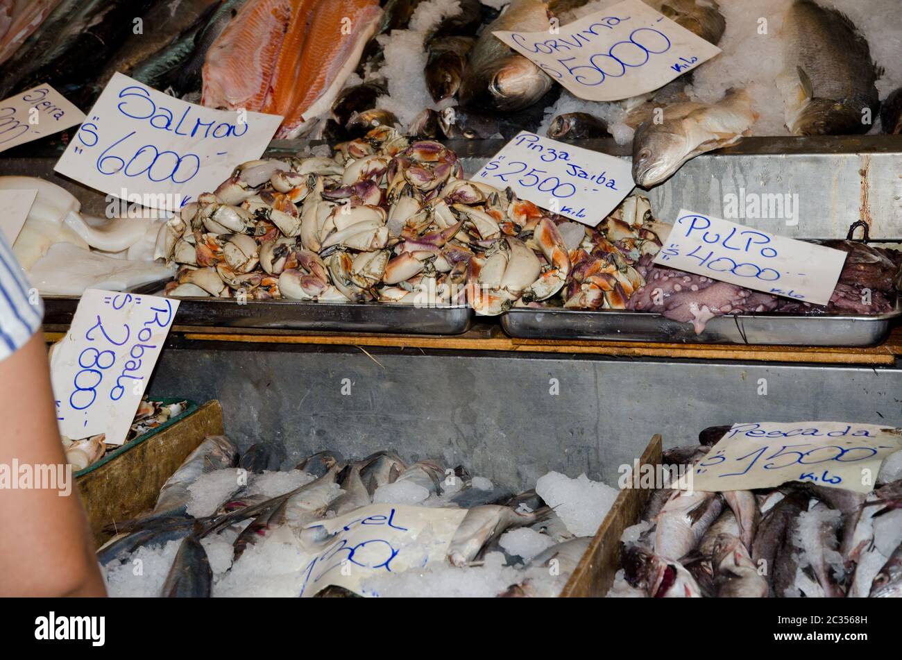 Stall of fishes and shellfishes at the central market. Santiago de ...