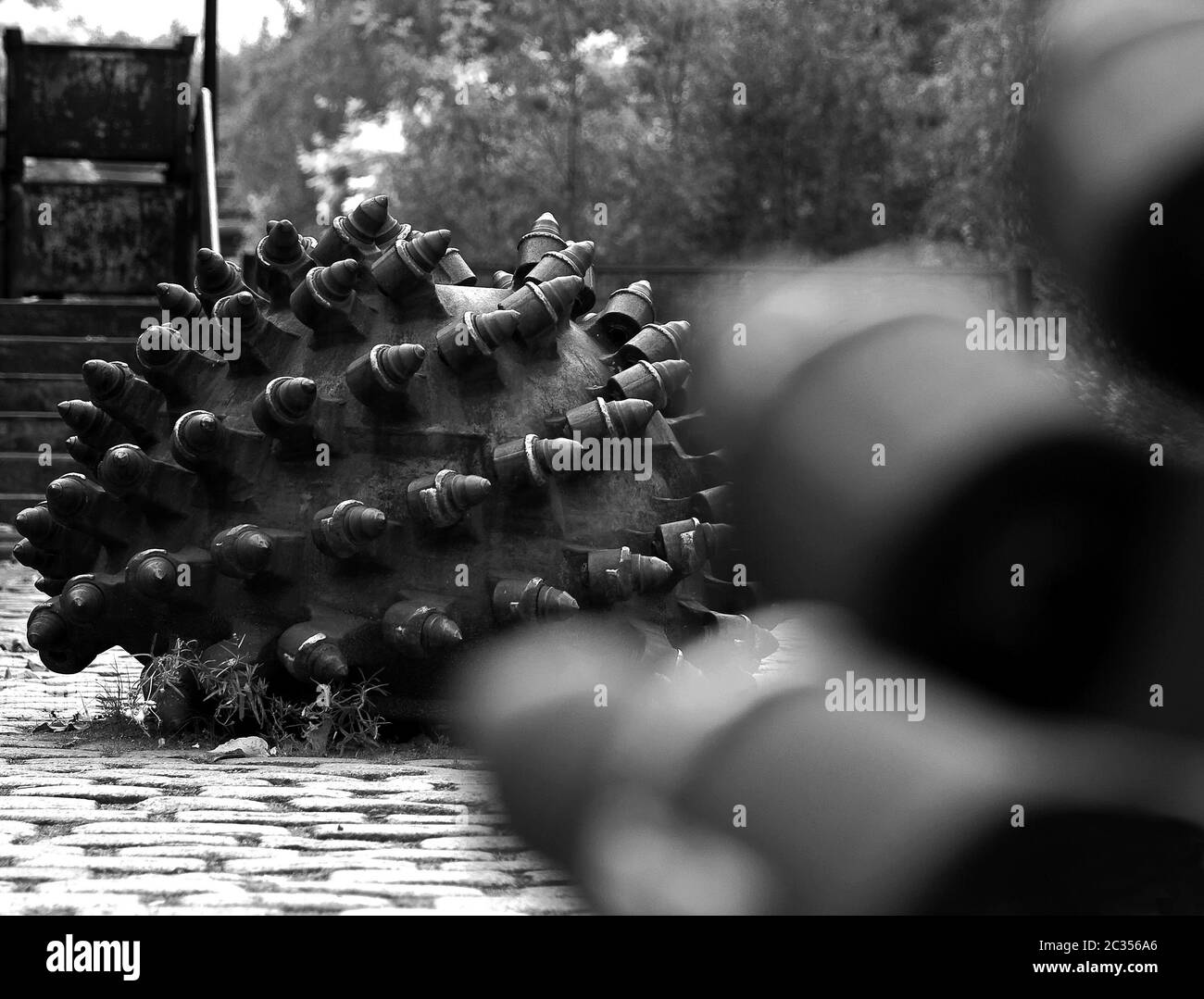 Building open air museum Black and White Stock Photos & Images - Alamy