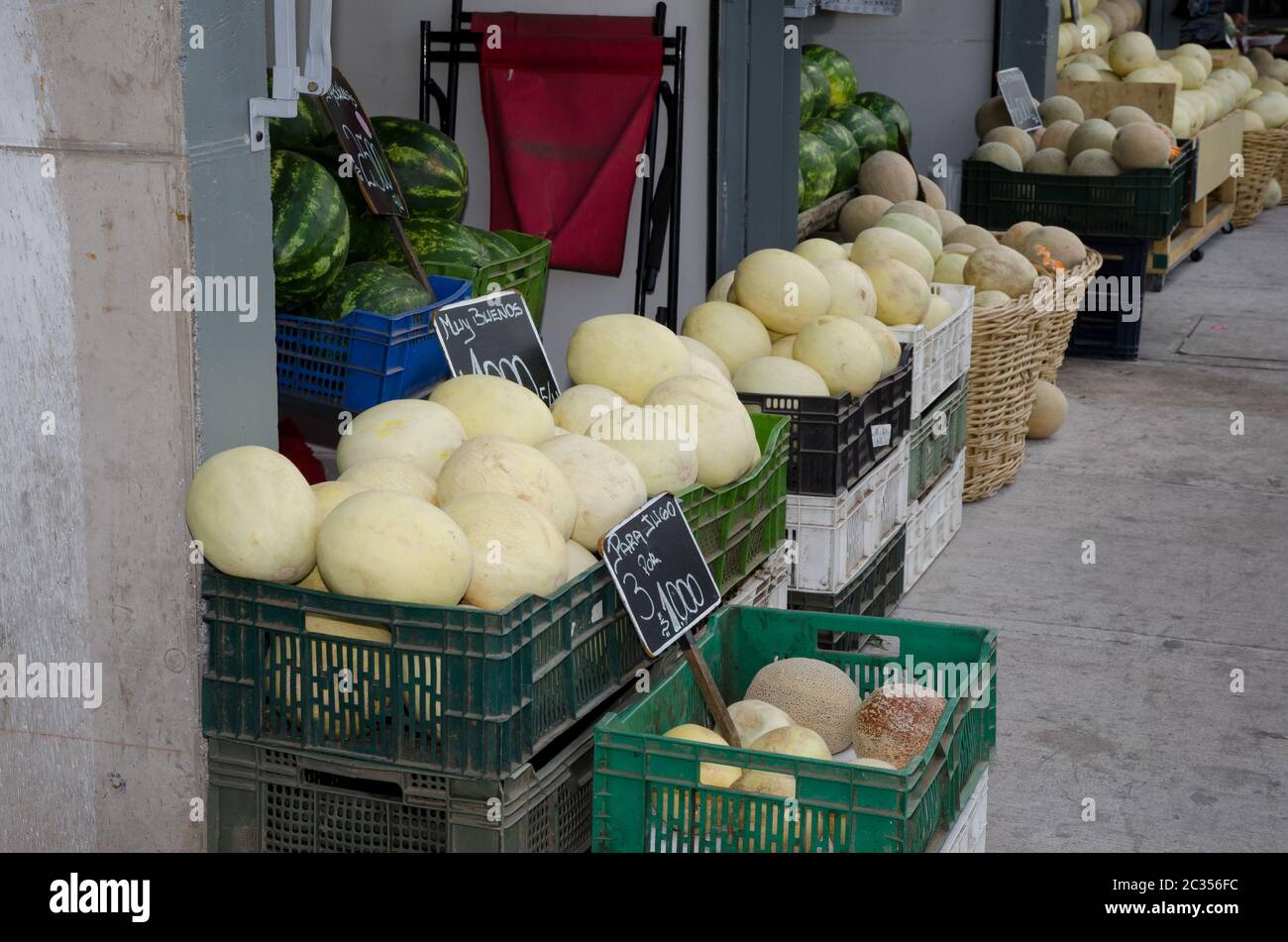 Market stalls of watermelons Citrullus lanatus. Santiago de Chile ...