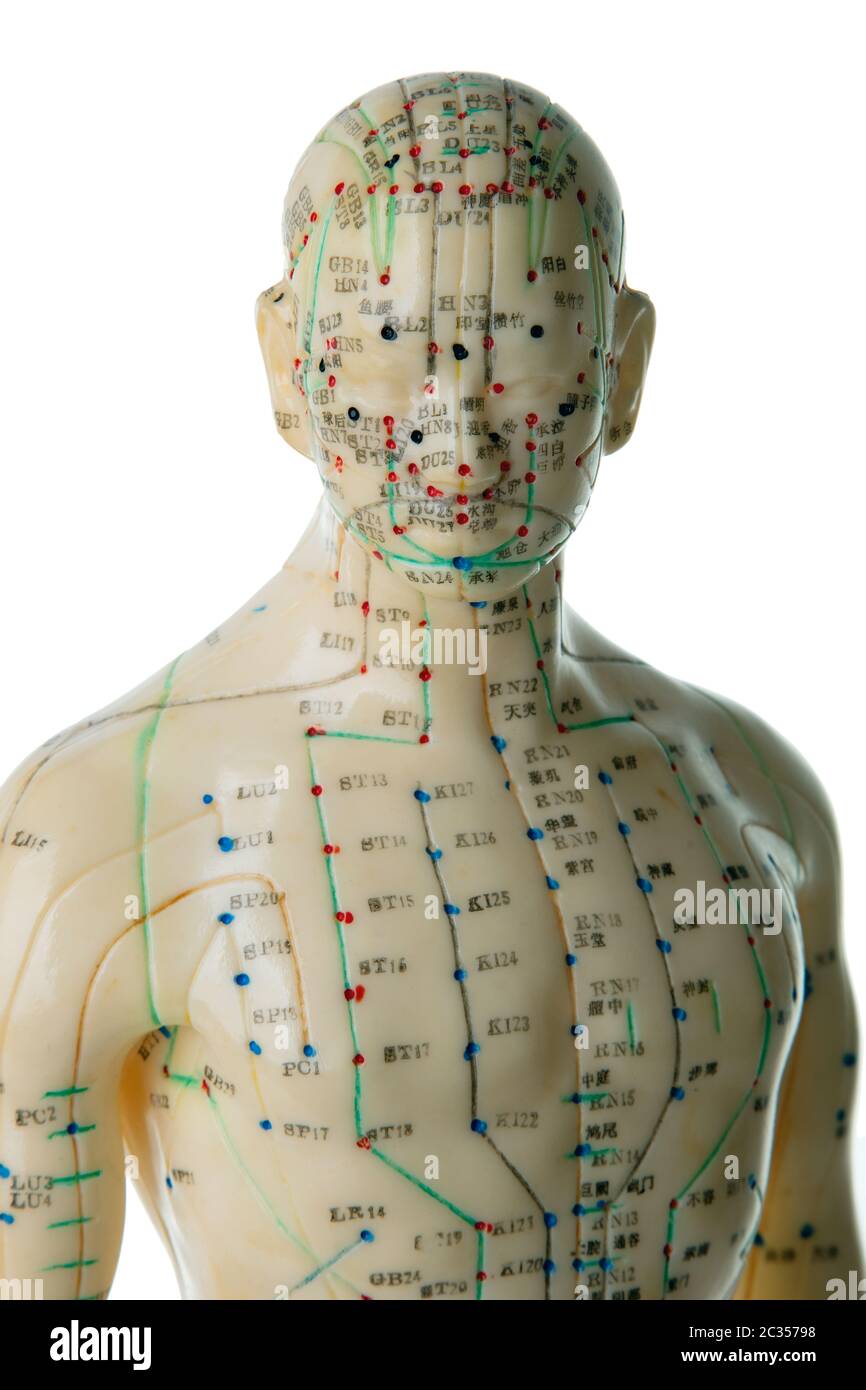 Acupuncture Model isolated on white background Stock Photo - Alamy