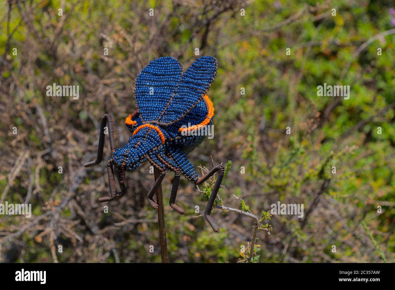 Decorative insect in the garden, flowerbed. Spider, dragonfly ...