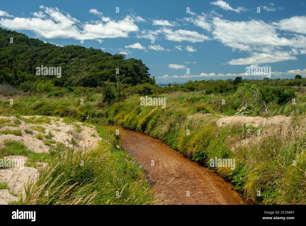 Totaranui new zealand hi-res stock photography and images - Alamy