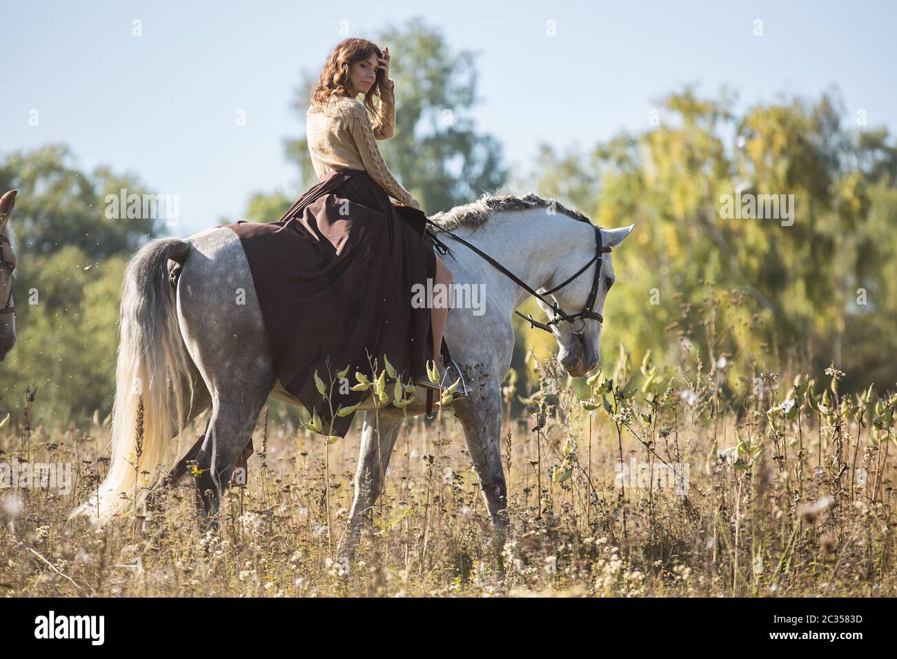 Beautiful brunette woman riding horse hi-res stock photography and ...