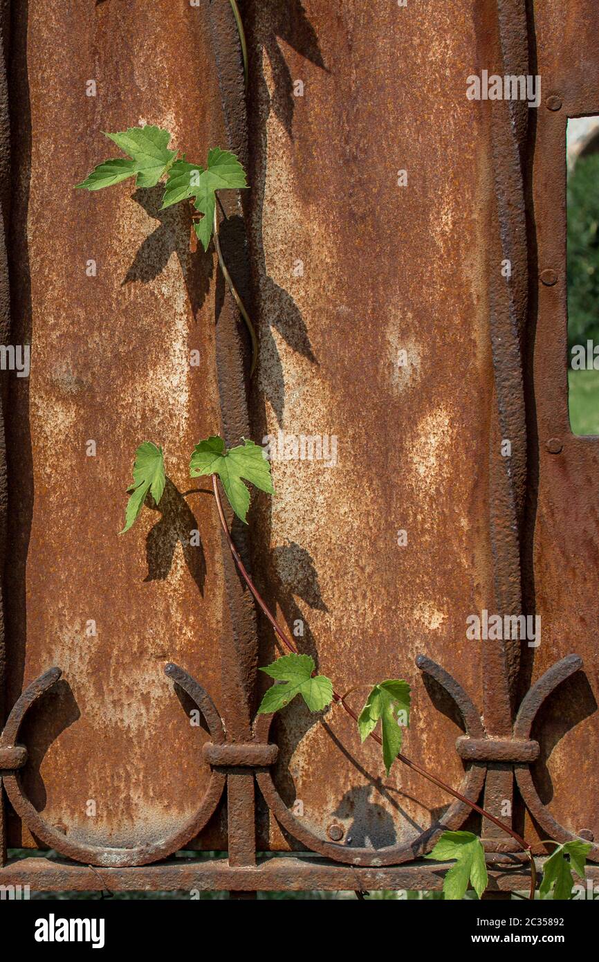 Nature and rust Stock Photo - Alamy