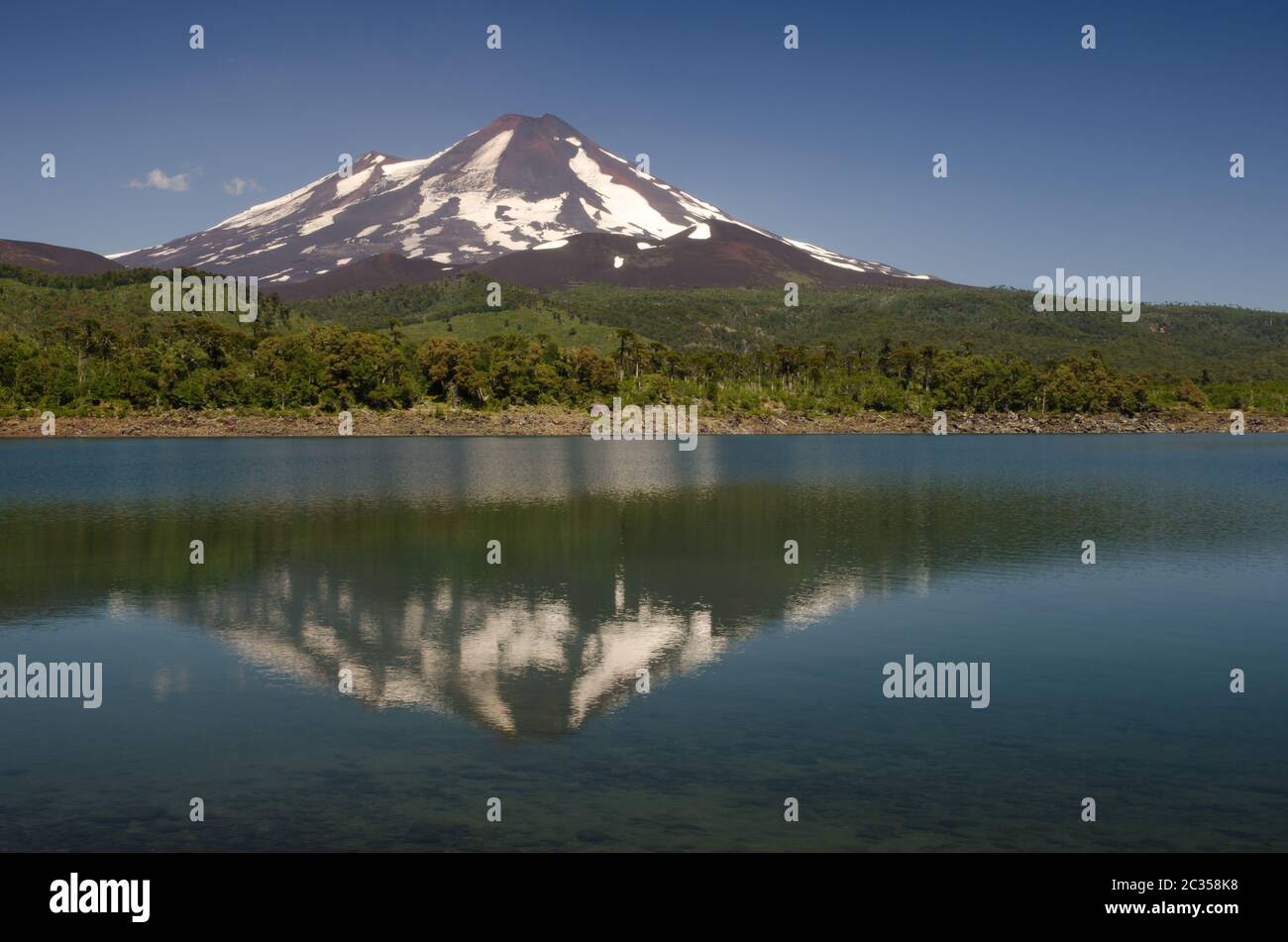 Llaima volcano reflected on the Conguillio lake. Conguillio National ...