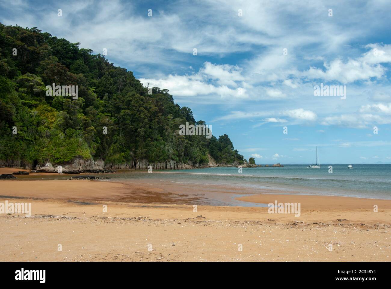 Totaranui hi-res stock photography and images - Alamy