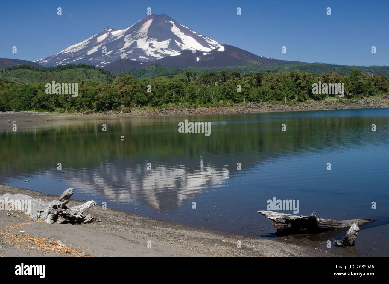 Llaima volcano reflected on the Conguillio lake. Conguillio National ...