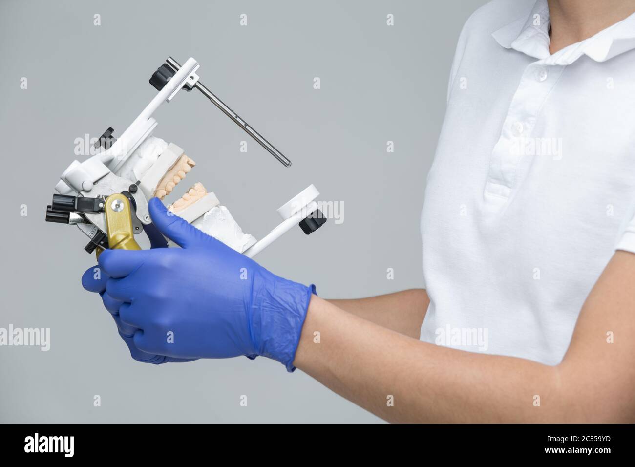 Dental mould in parallelometer Stock Photo - Alamy