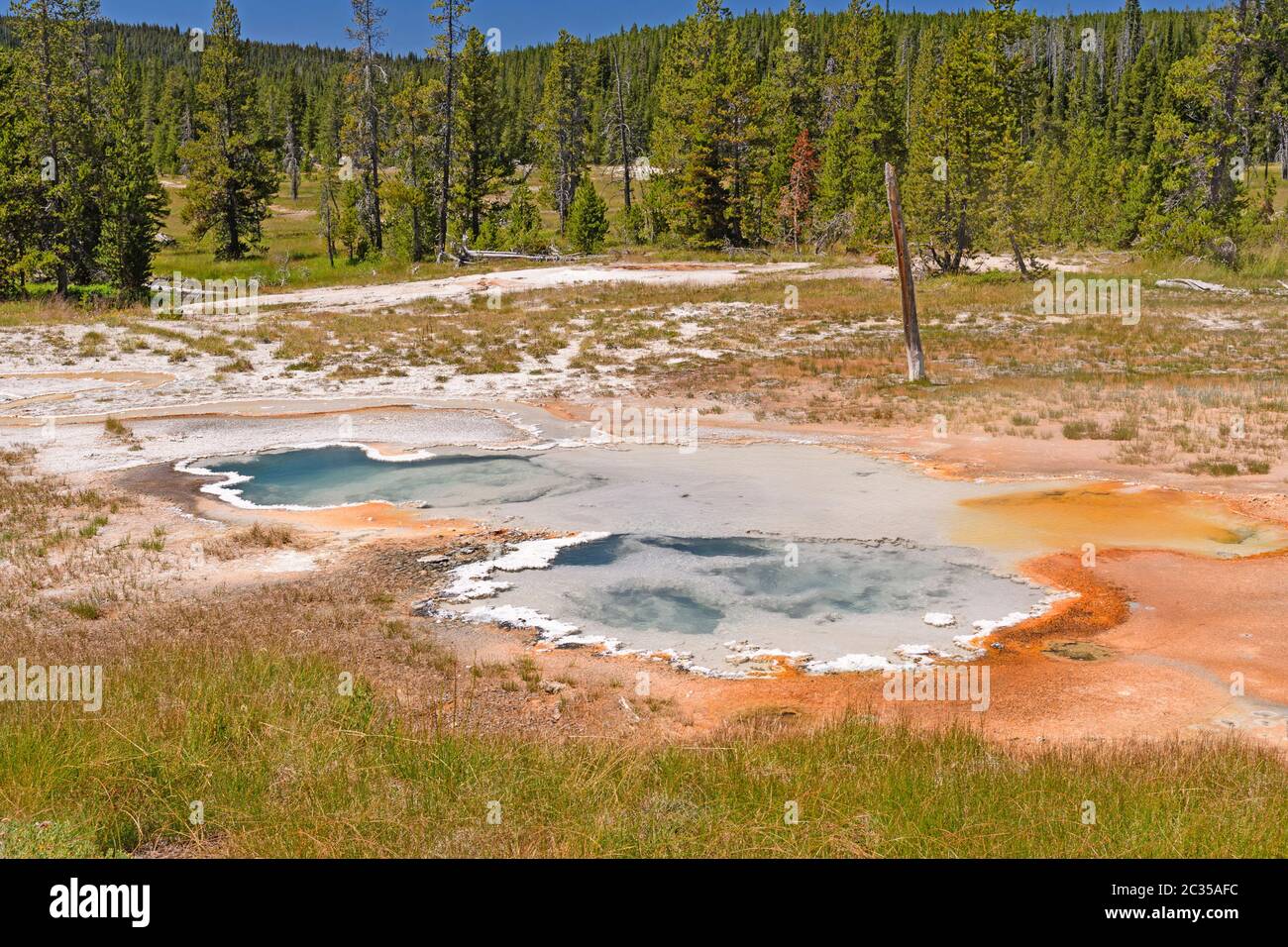 Thermal Pool Amongst the Pines the Shoshone Thermal Basin in ...