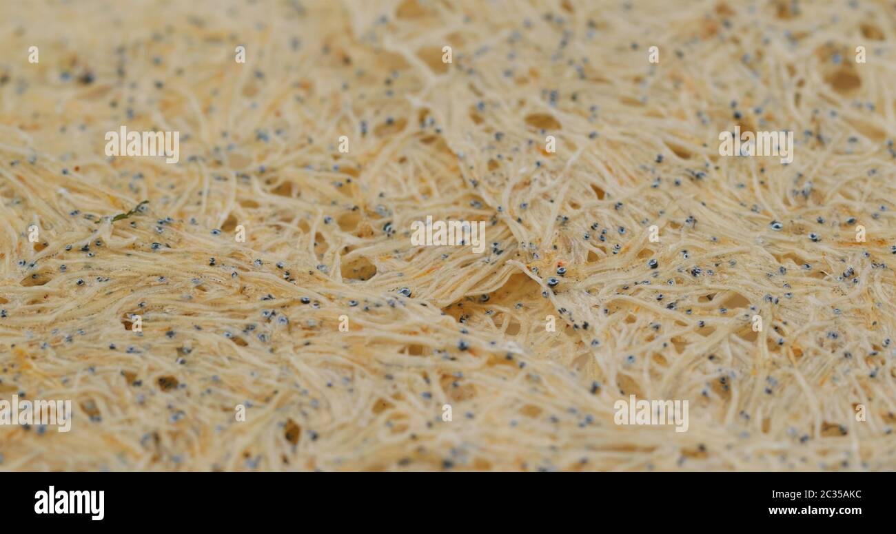 Japanese dry fish snack for beer, tatami iwashi Stock Photo - Alamy