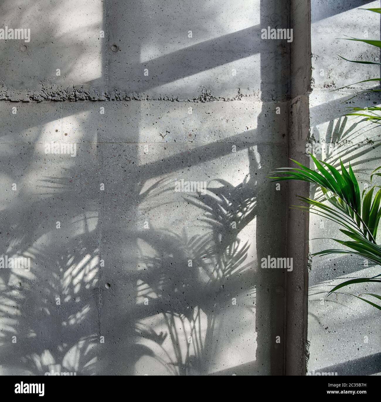 Concrete wall with sun light Stock Photo - Alamy