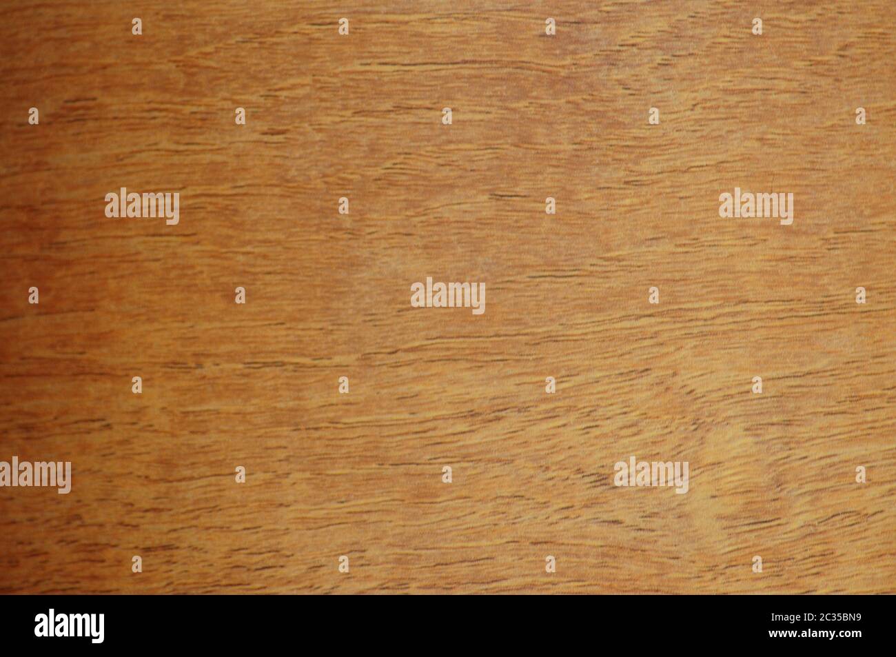 Dark beech, drawing with a pronounced texture of natural wood close-up ...