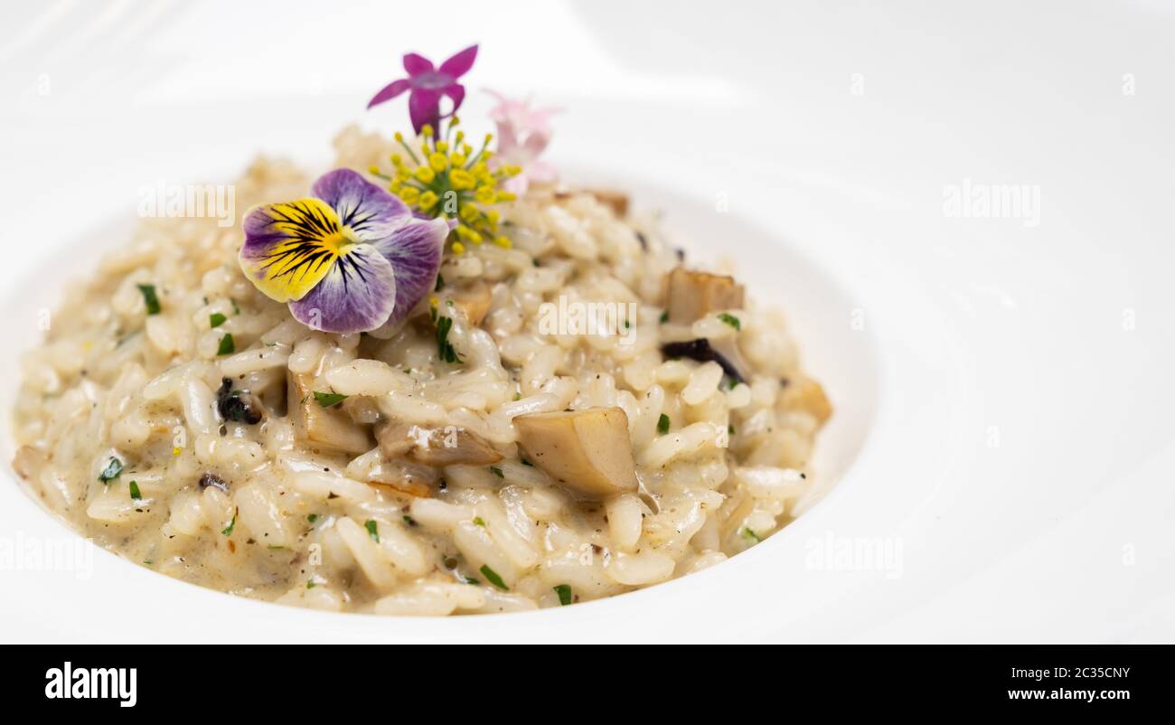 Creamy cheese risotto with mushroom and truffle oil decorate with ...