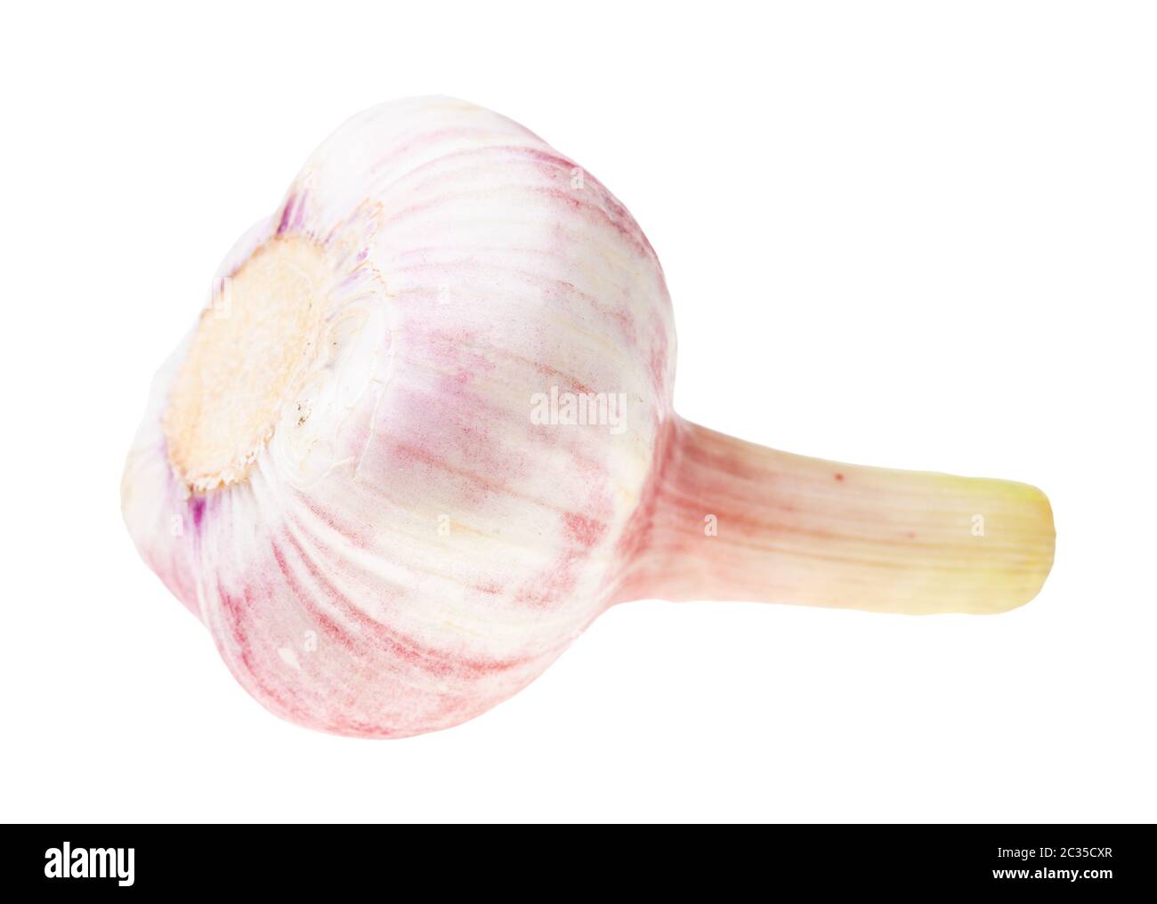 single bulb of ripe young garlic isolated on white background Stock ...