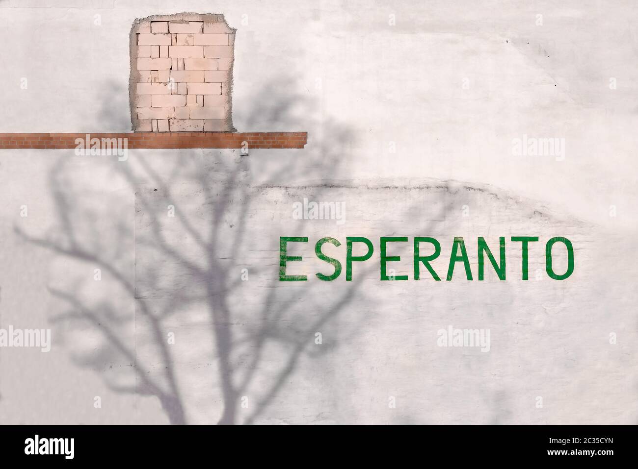 Tree wall graffiti hi-res stock photography and images - Alamy