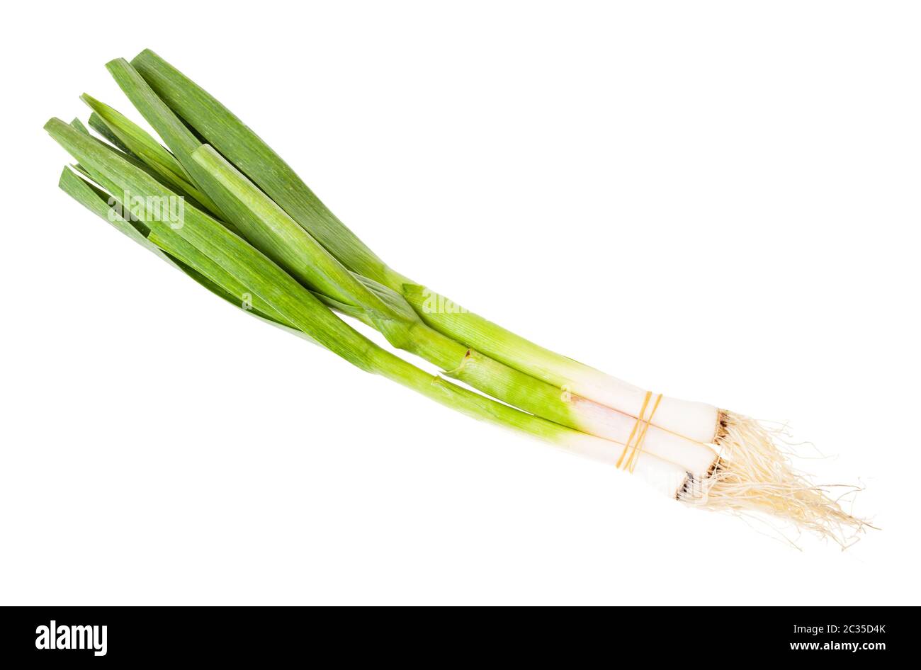 bunch of green young spring garlic isolated on white background Stock ...