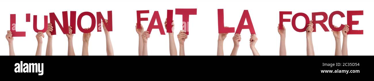 People Hands Holding Colorful French Word La Union Fait La Force Means Stronger Together. White ...
