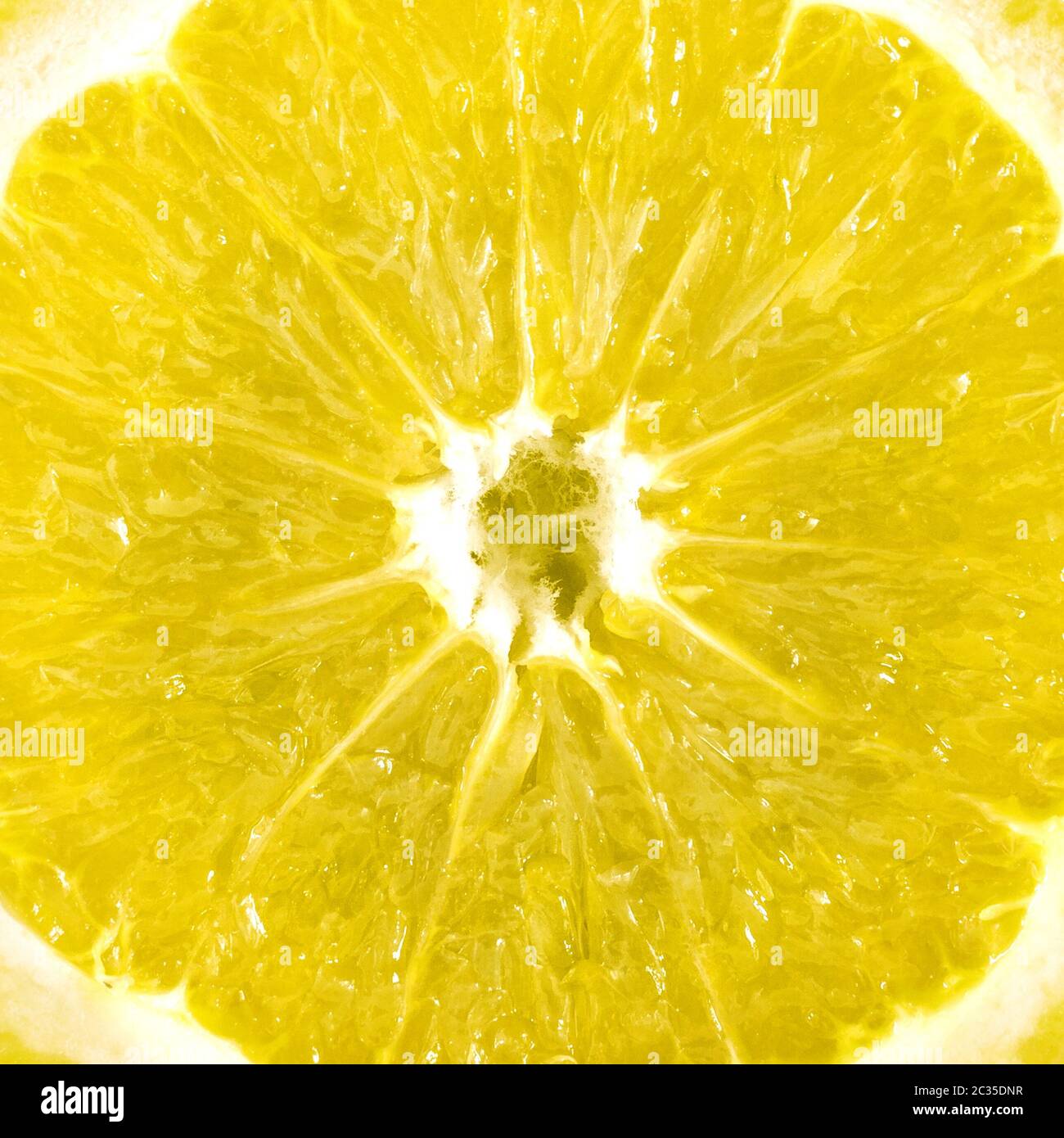 Slice of lemon Stock Photo - Alamy