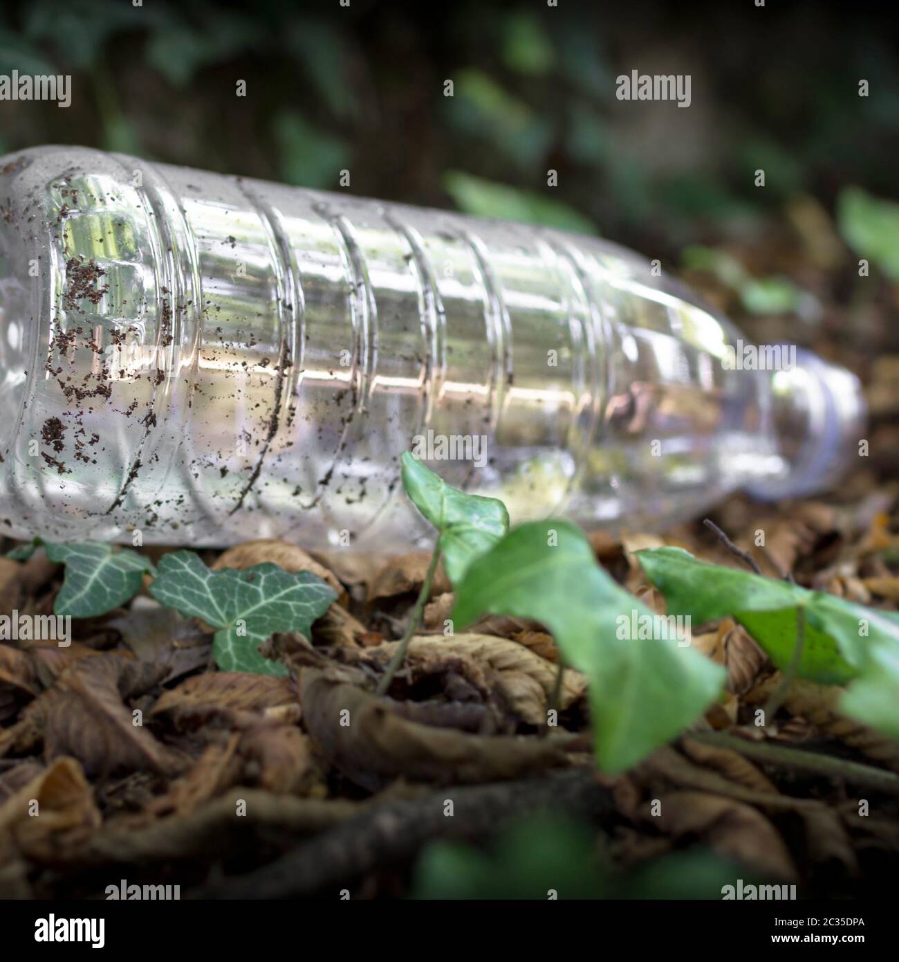 Plastic bottle on the ground Stock Photo - Alamy