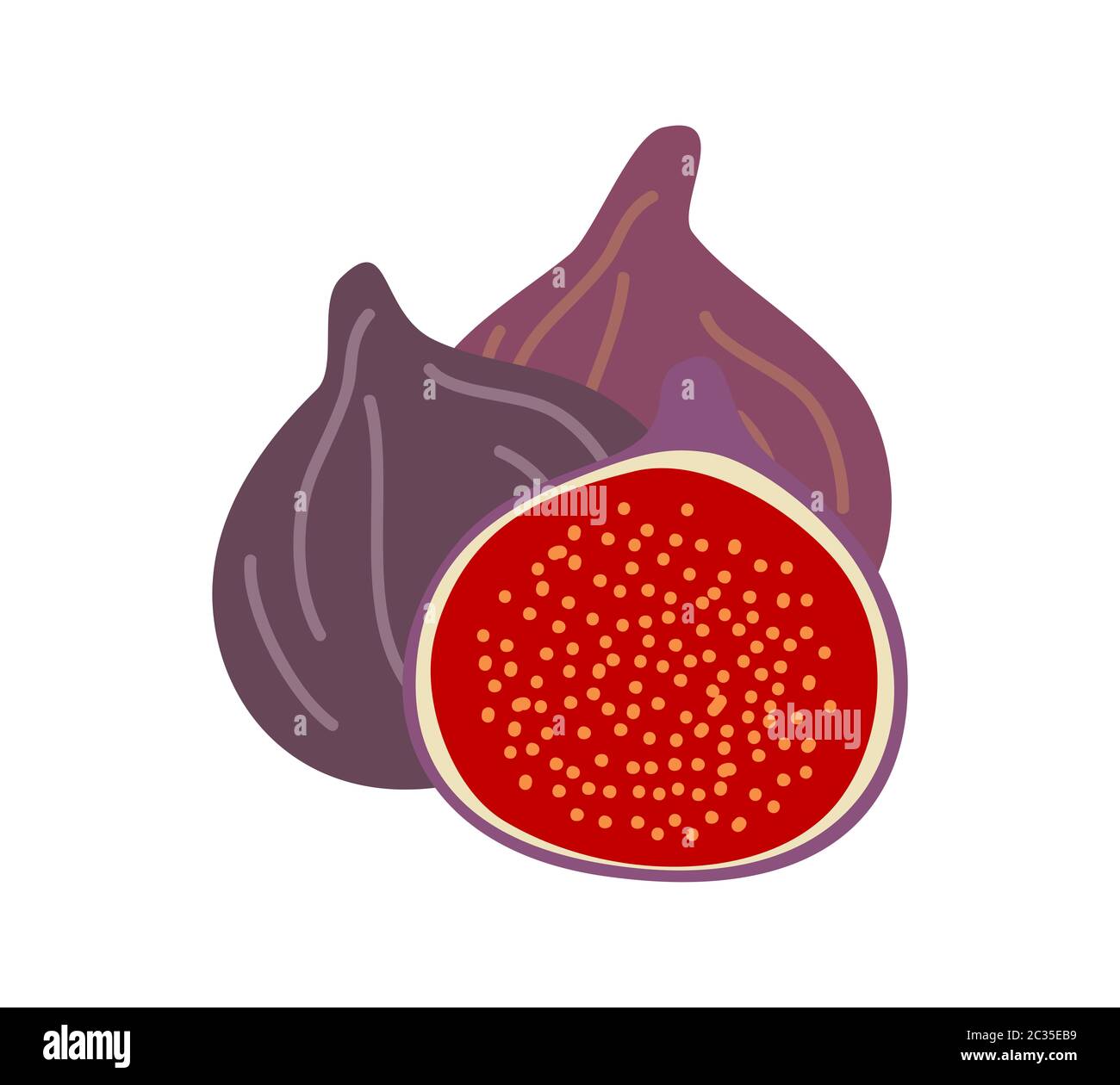Three isolated figs design colorful vector illustration. Two whole and ...