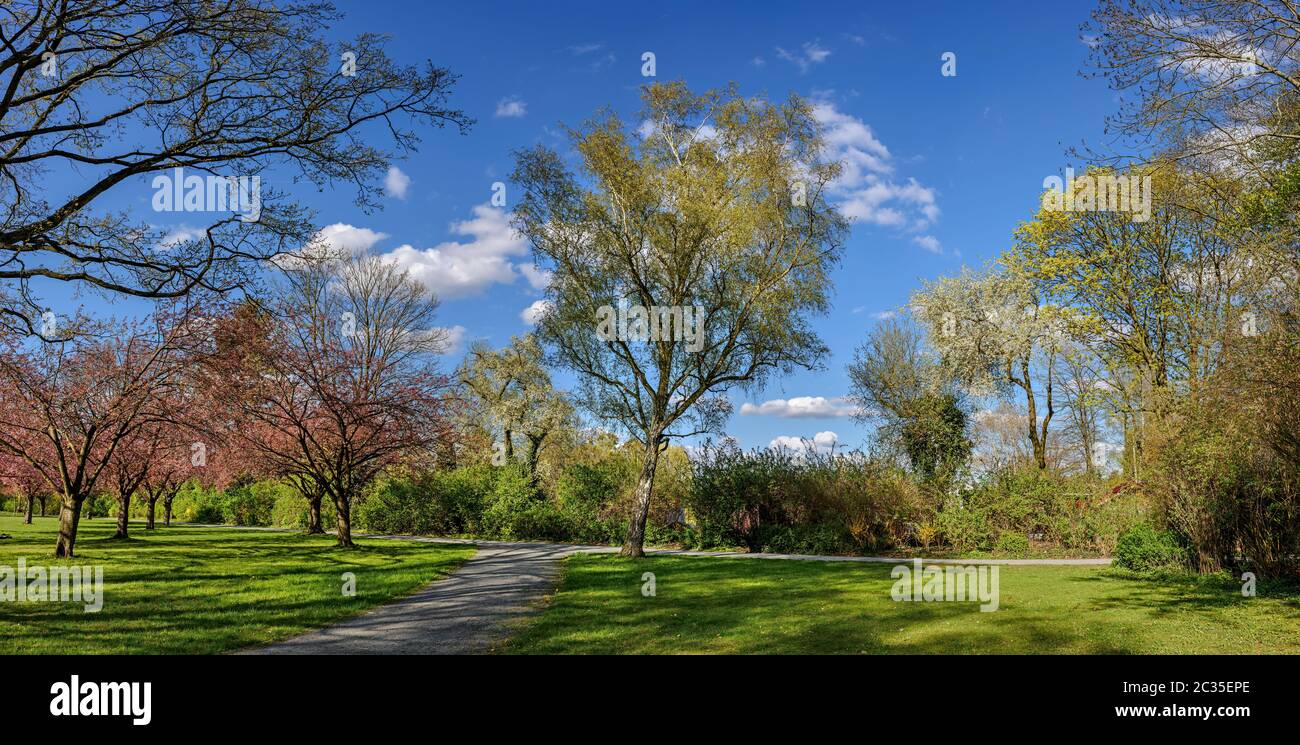 Spring awakening at Berlin Lilienthal Park Stock Photo - Alamy