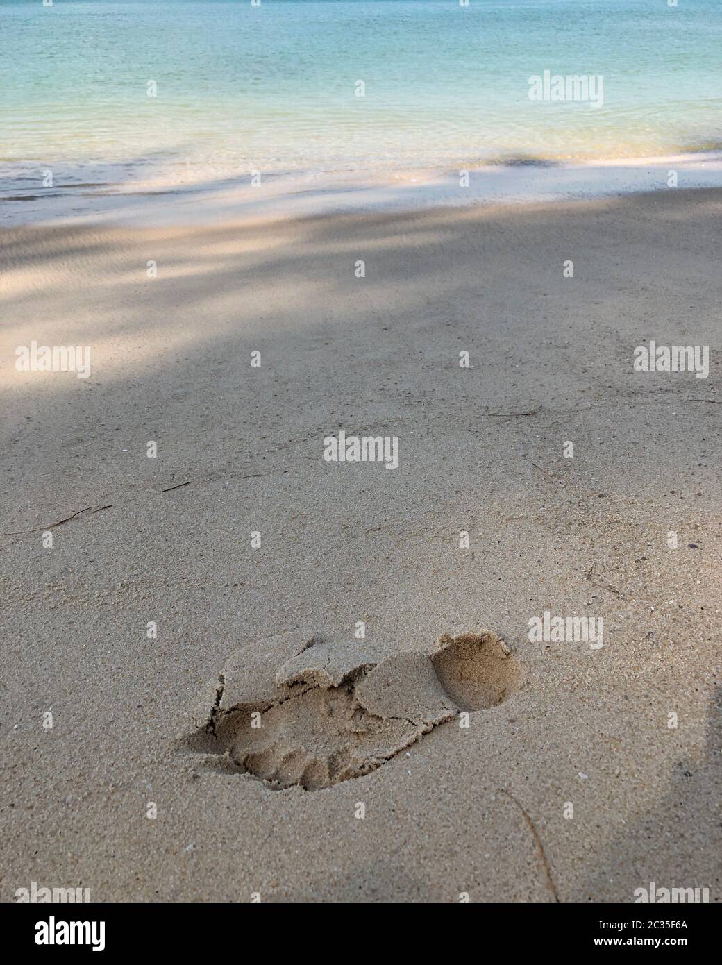 background, texture of sand, footprints in the sand Stock Photo - Alamy