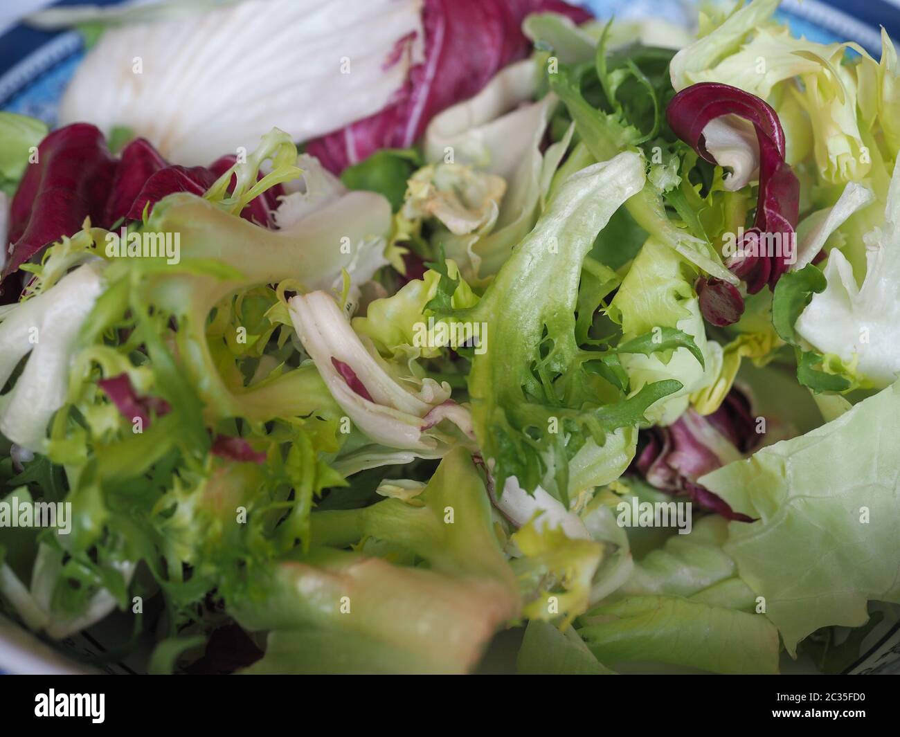 mixed leaf salad with green and red lettuce Stock Photo - Alamy