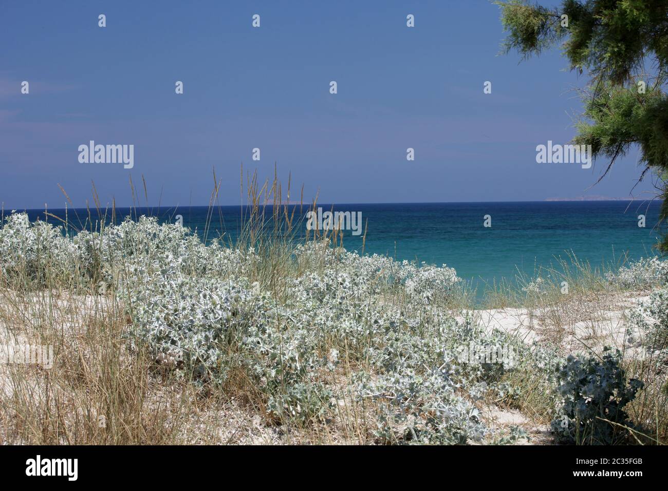 Mastichari taverna hi-res stock photography and images - Alamy