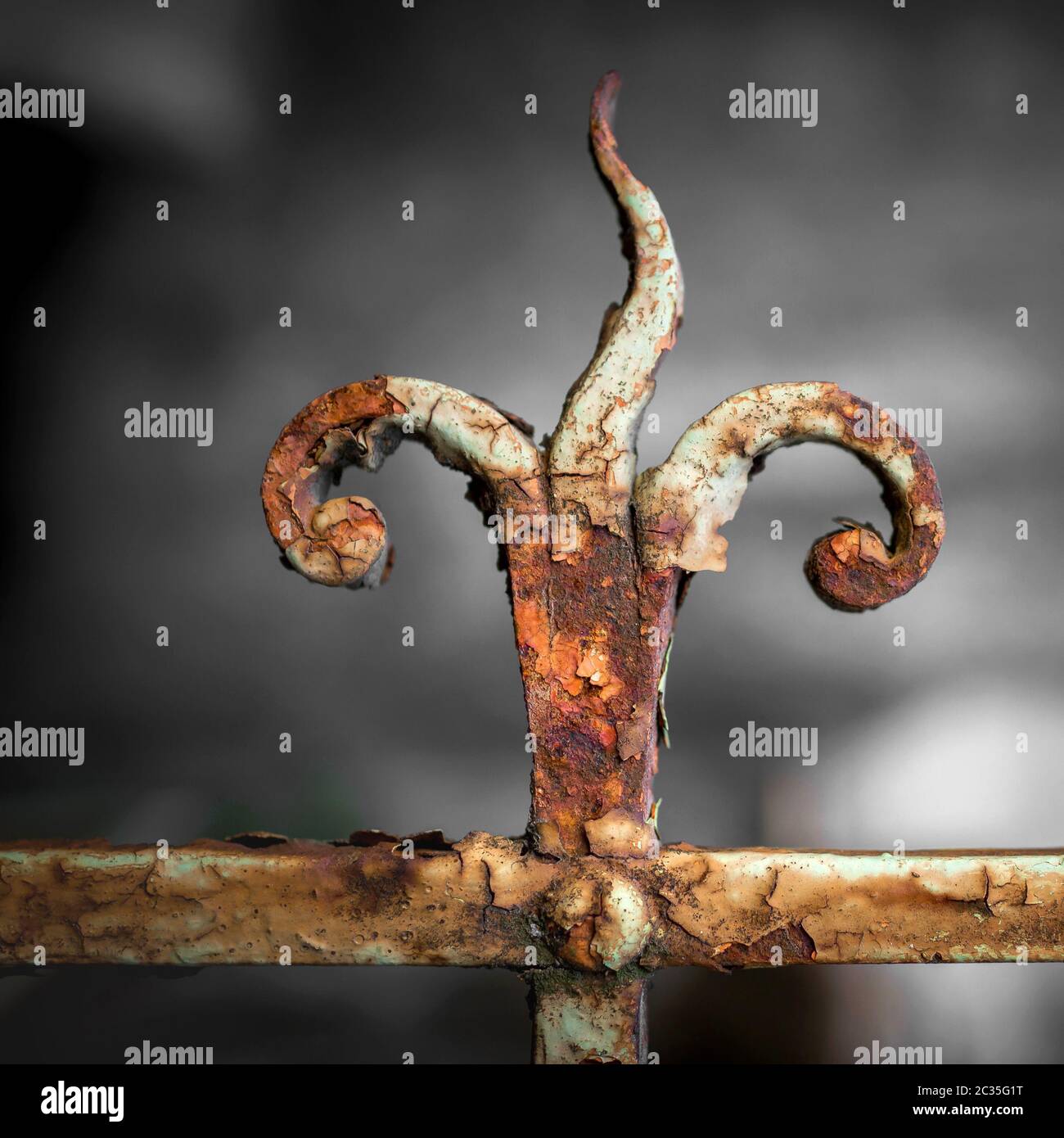 Rusted forged fence Stock Photo - Alamy