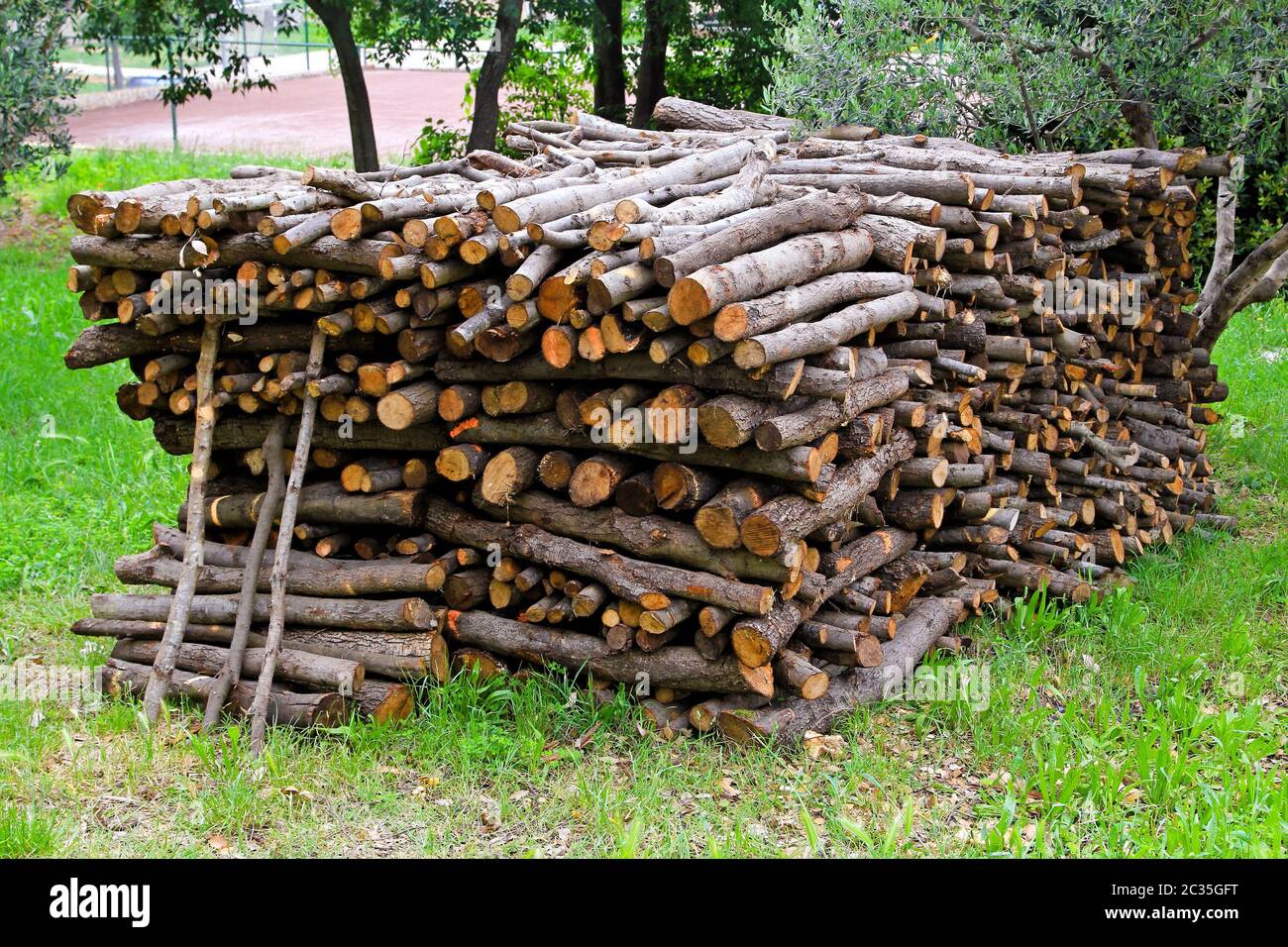 Big stack of cut fire wood logs Stock Photo - Alamy