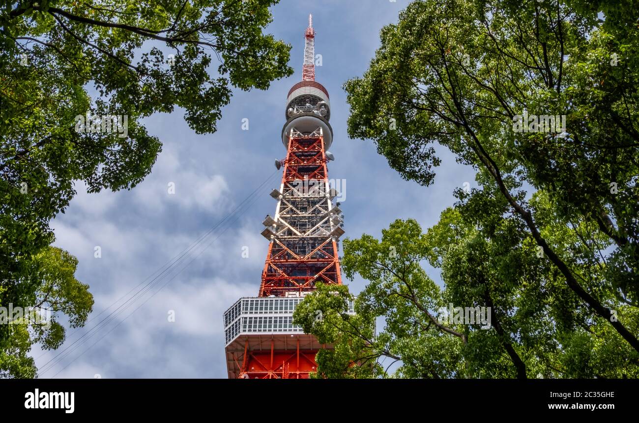 View of the iconic and popular Tokyo Tower, Japan Stock Photo - Alamy