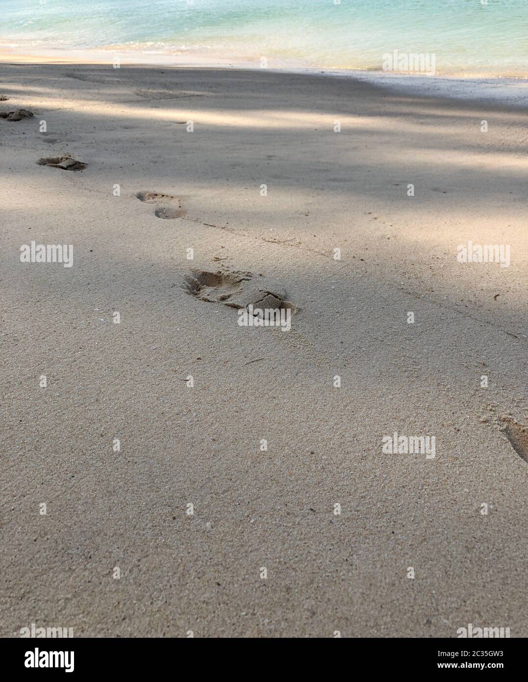 background, texture of sand, footprints in the sand Stock Photo - Alamy
