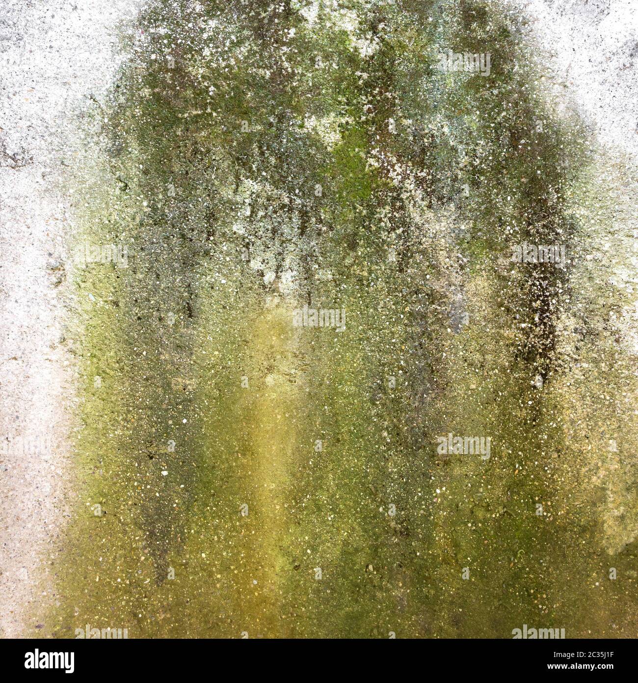 Wall with mold hi-res stock photography and images - Alamy