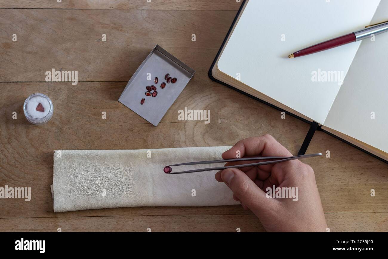 Hand with jewelery tweezers holding a ruby stone. Top view of ...