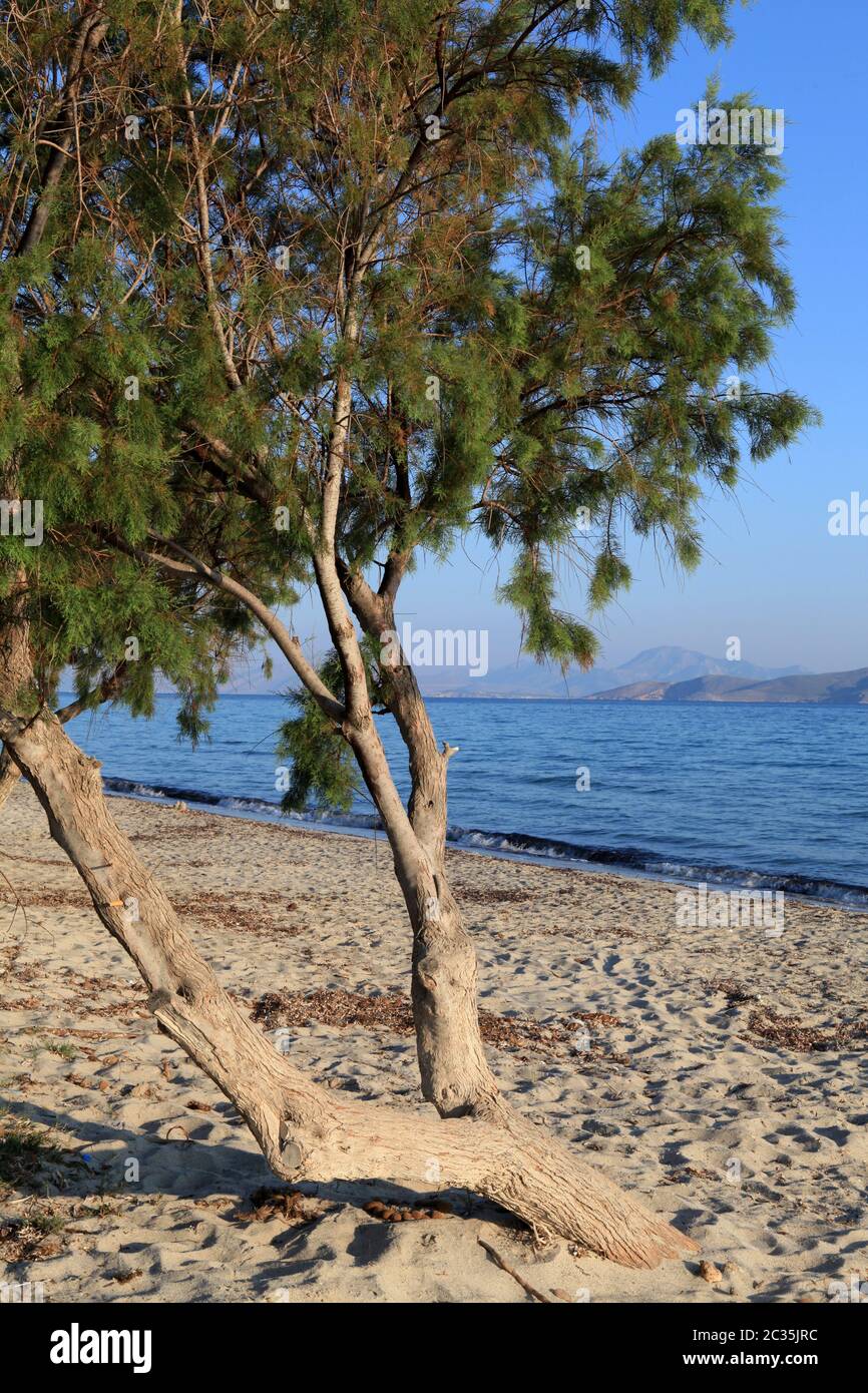 Greece. Kos island. Tigaki beach Stock Photo - Alamy