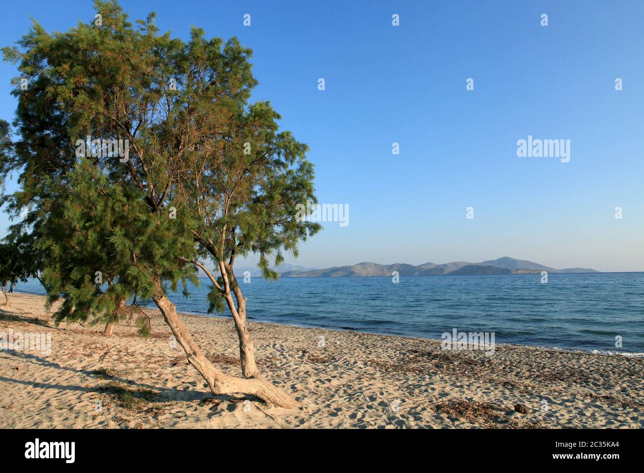 Greece. Kos island. Tigaki beach Stock Photo - Alamy