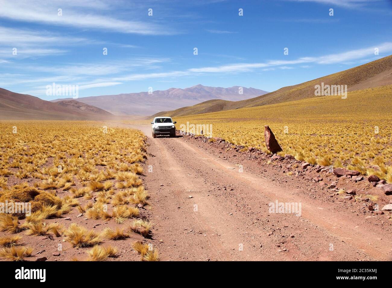 Car along the road with Peruvian feathergrass, jarava ichu, in the Puna ...