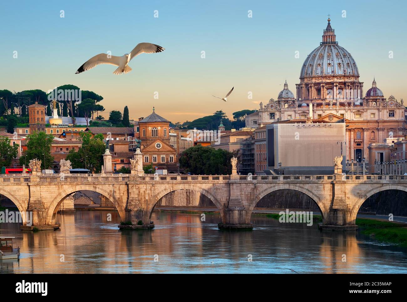 Birds and Vatican Stock Photo - Alamy