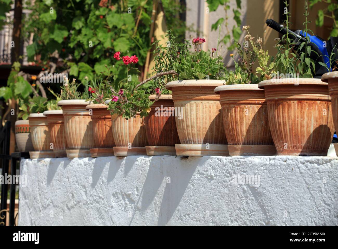 long series of ceramic pots in the white stairs Stock Photo - Alamy