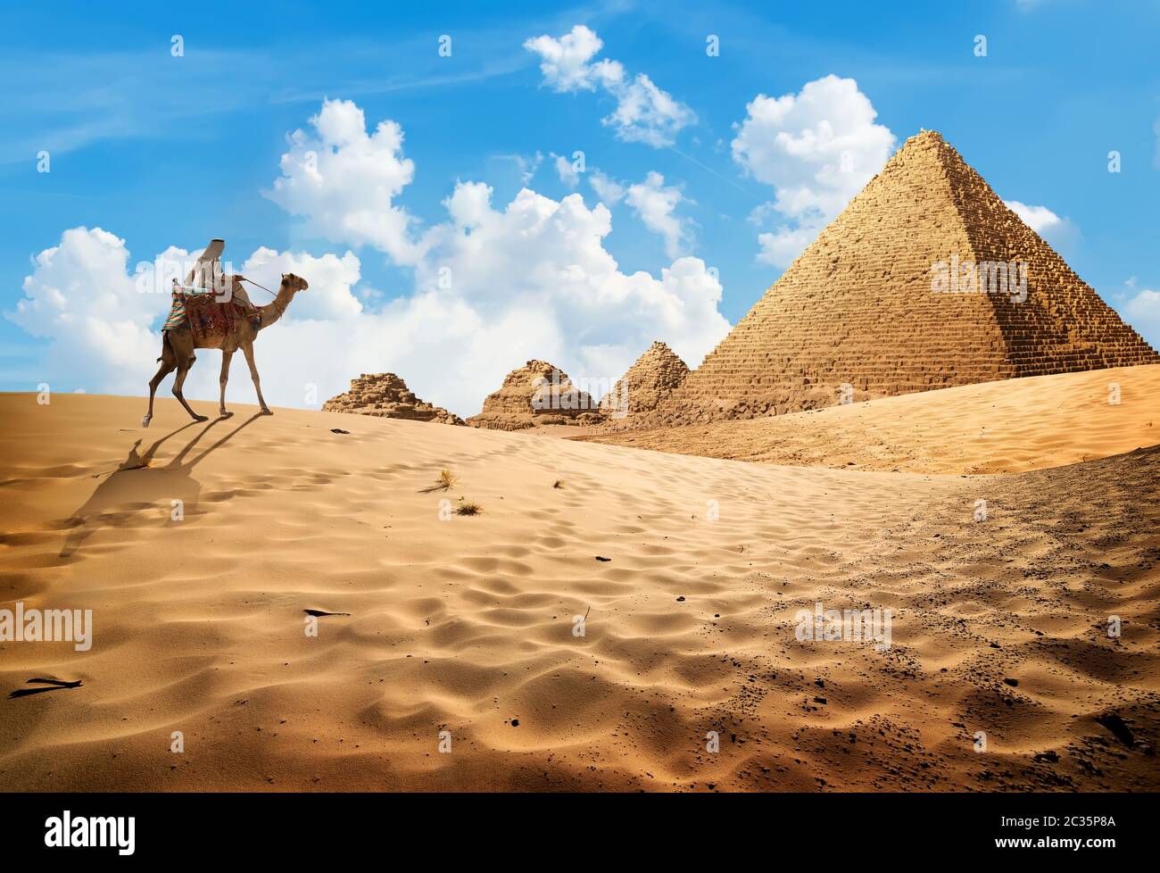 Camel near pyramids Stock Photo - Alamy