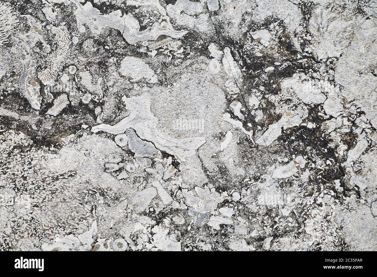 Aged, decaying concrete wall texture closeup Stock Photo - Alamy