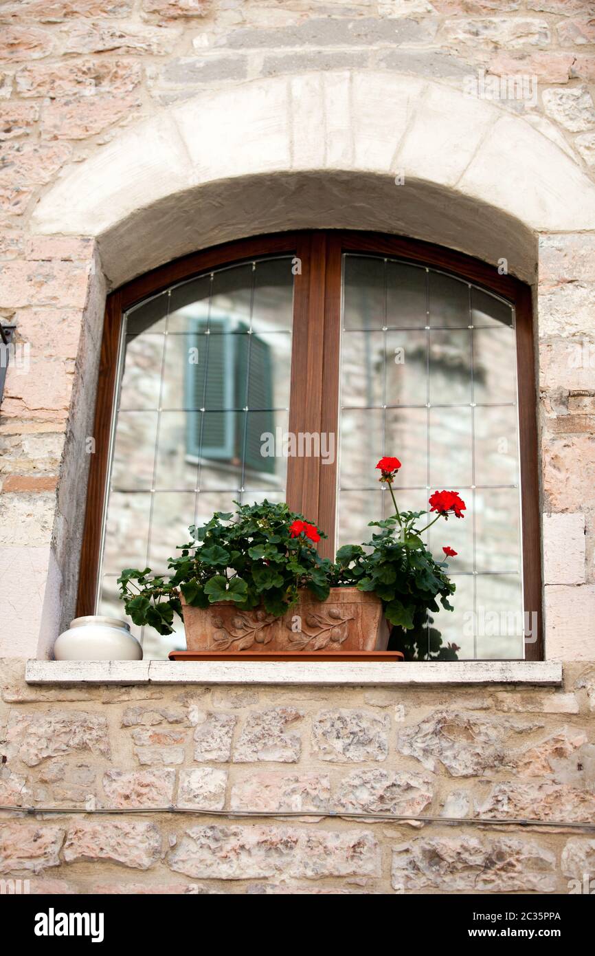 The Flowers on the old Tuscan Window Stock Photo - Alamy