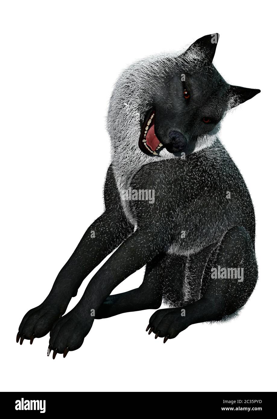 3D rendering of a black wolf isolated on white background Stock Photo ...