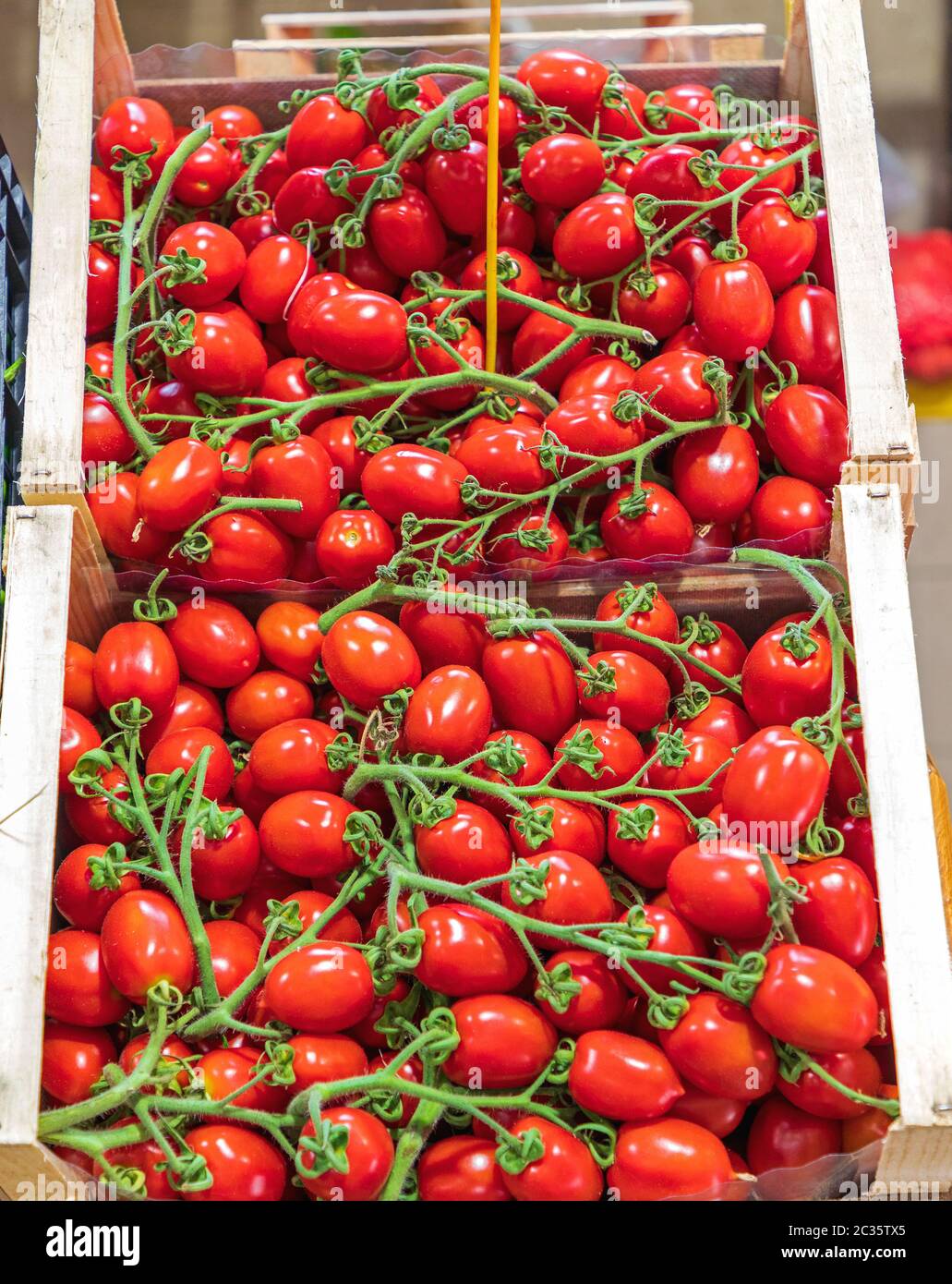 Baby tomatoes vine hi-res stock photography and images - Alamy