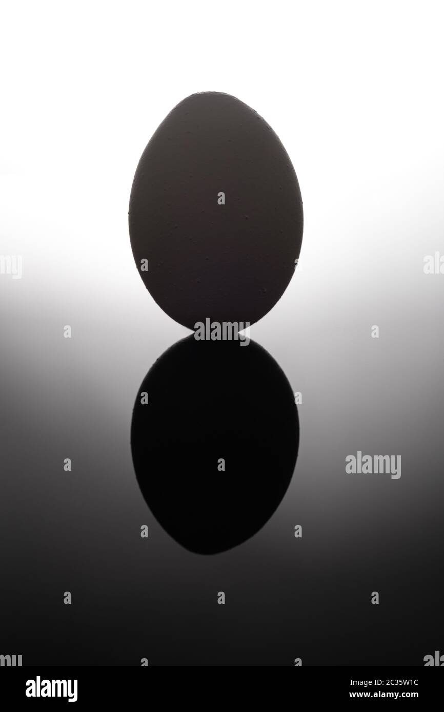 Grey egg hi-res stock photography and images - Alamy